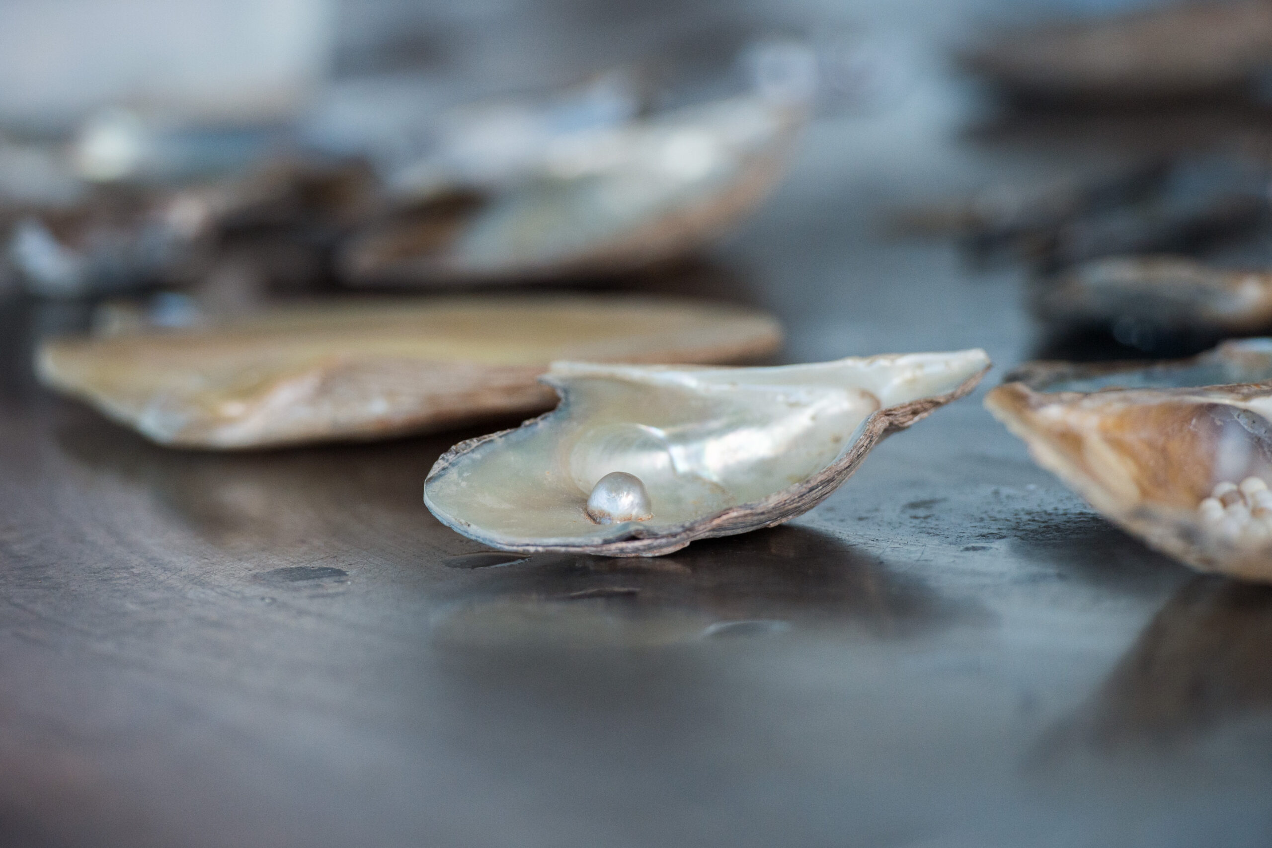 Standardization across P2P | Clearsulting | Coupa