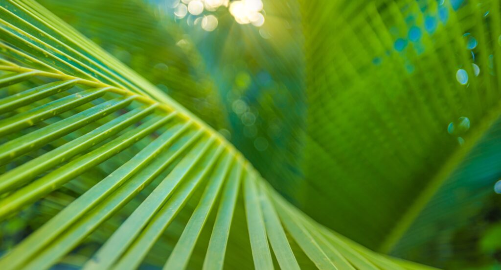 Sustainability reporting made easy | Clearsulting