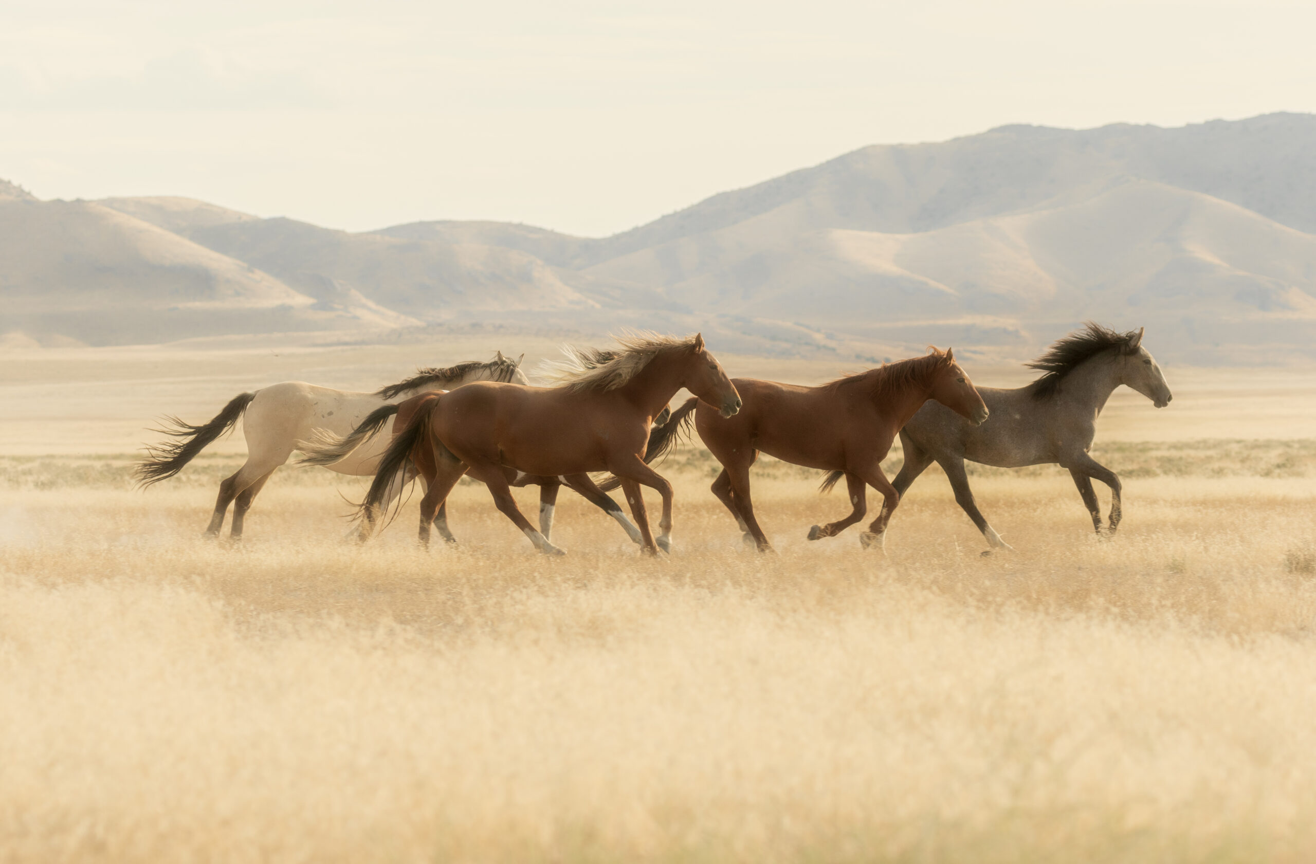 Achieve speed and accuracy in Intercompany clearing | Clearsulting